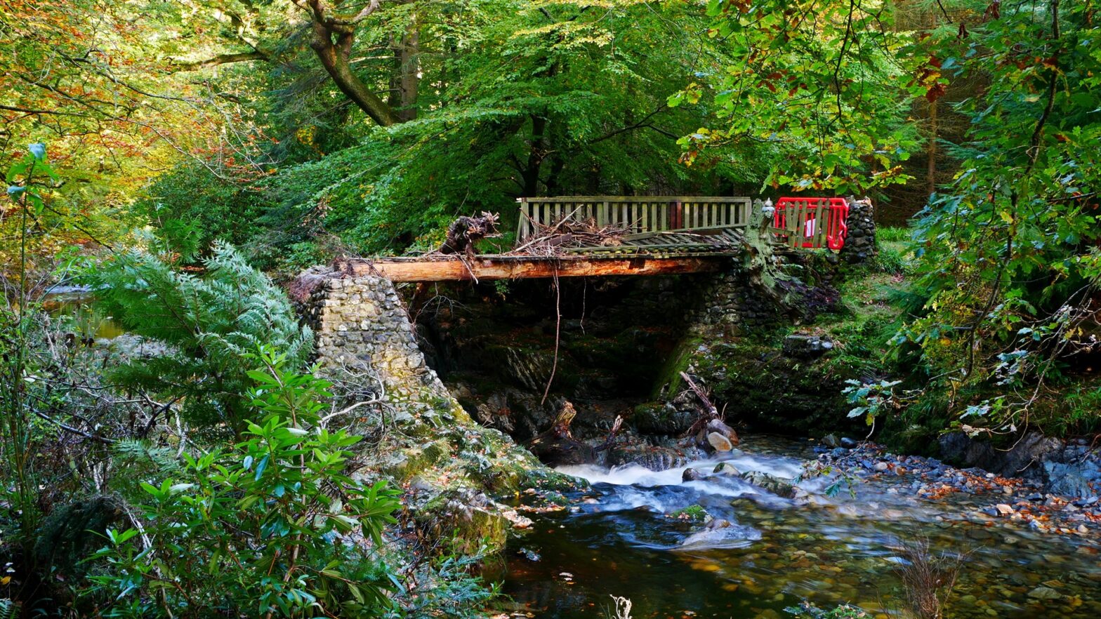 Tollymore Forest Park - Photography by Paul