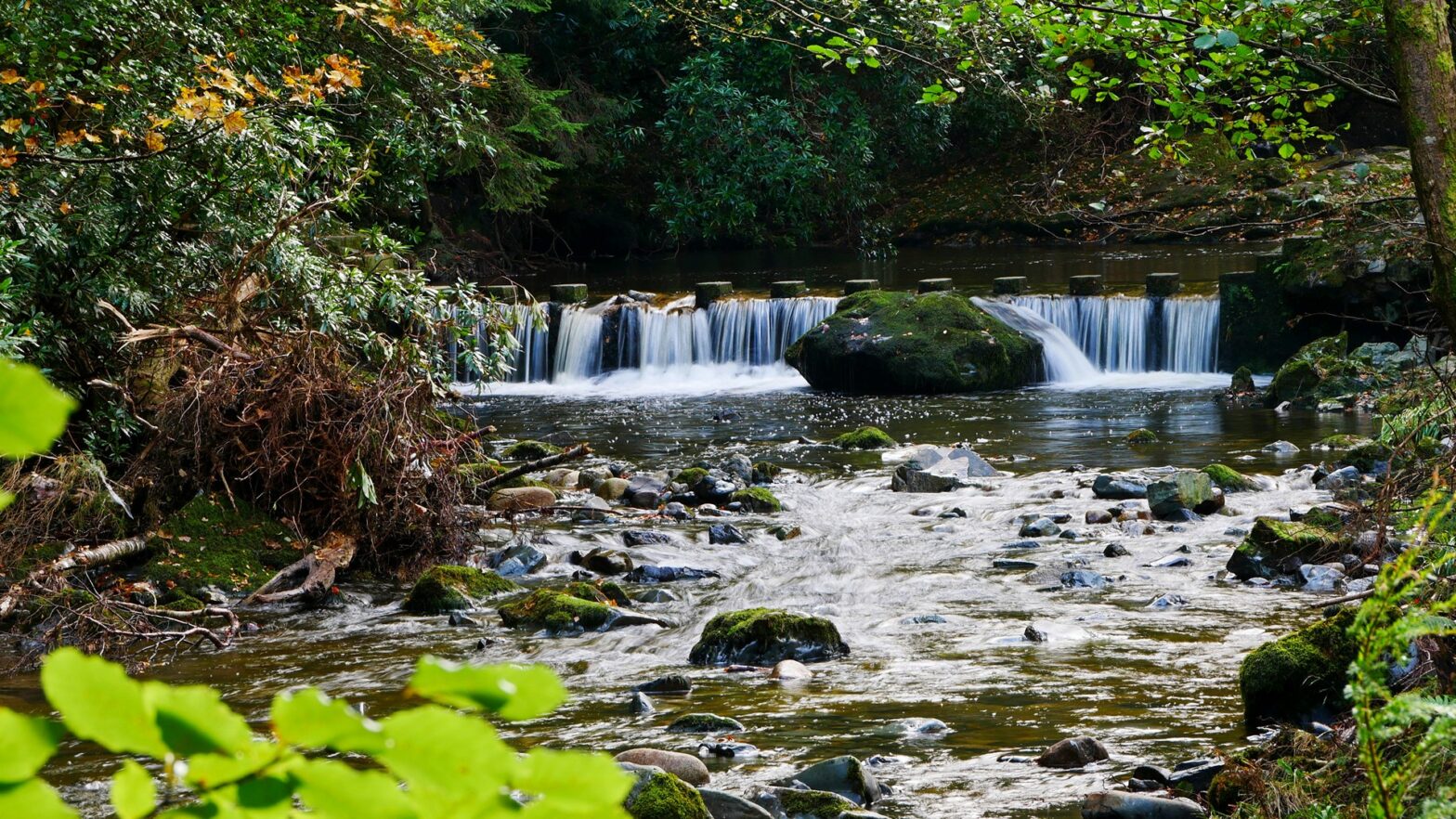 Tollymore Forest Park - Photography by Paul