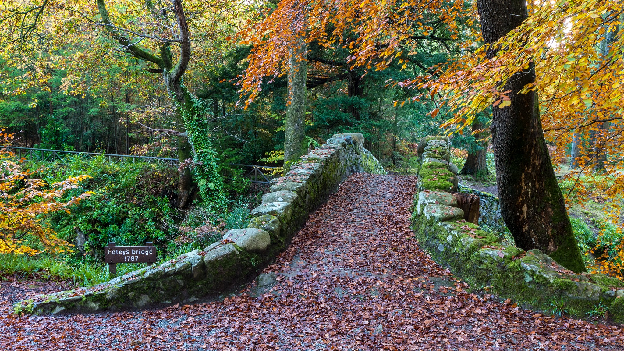 Tollymore Forest Park - Photography by Paul